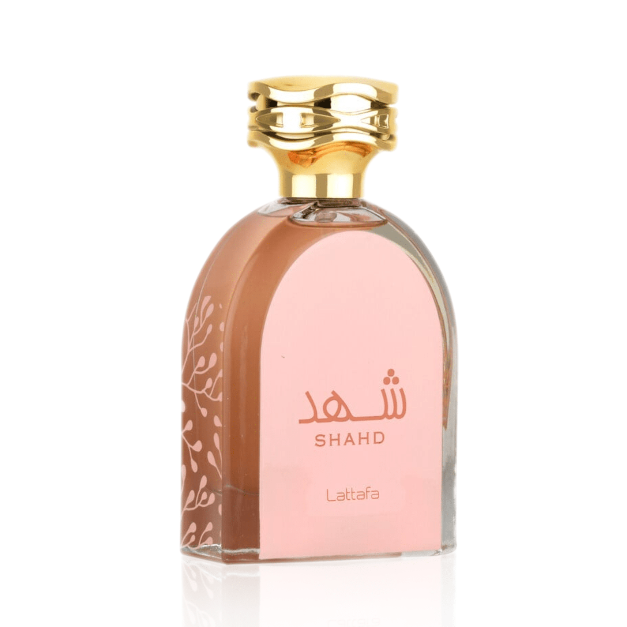 Shahd Lattafa - Dakar